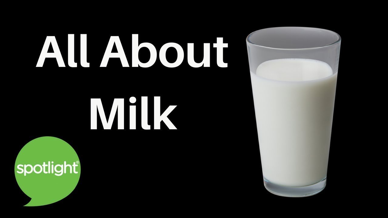 All About Milk | practice English with Spotlight - Translation Services